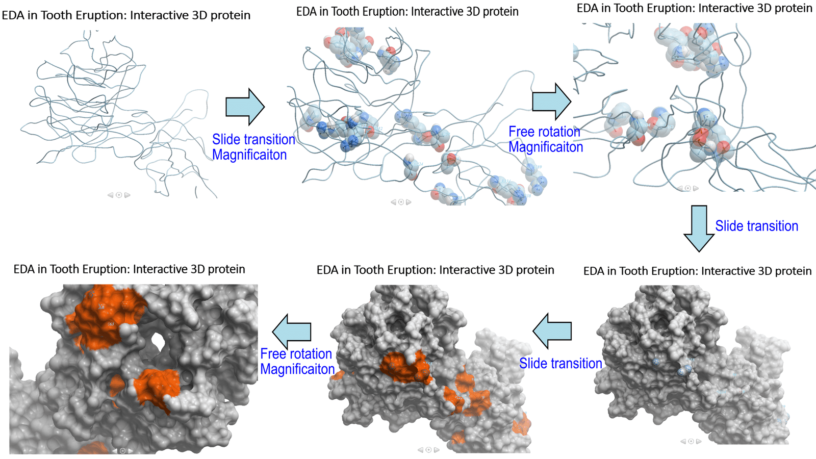 Interactive 3D Protein in PowerPoint - Beyond The Chalk Talk